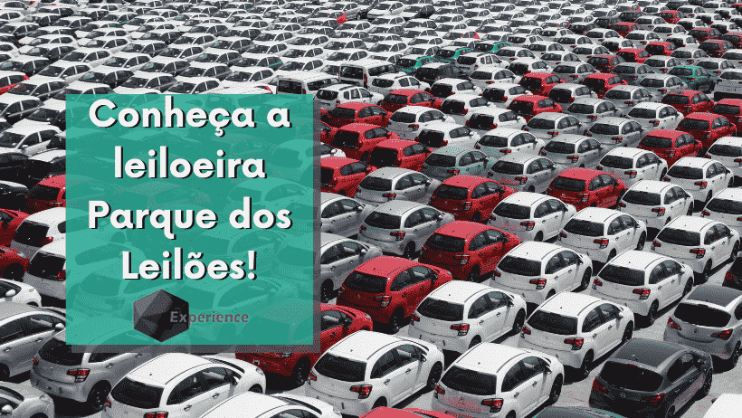 Conheça a leiloeira Parque dos Leilões! - Experience